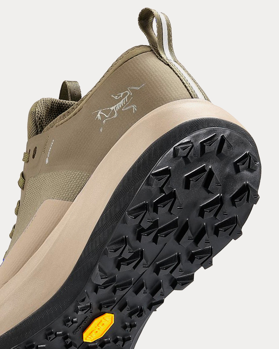 Arc'teryx Sylan GTX Tatsu / Forage Running Shoes - Sneak in Peace