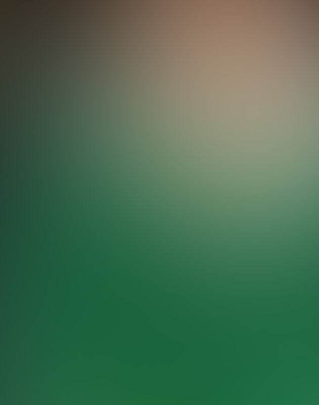 Flower Instincts x Rebecca Maria Sneakers & Trainers - Shop the ...