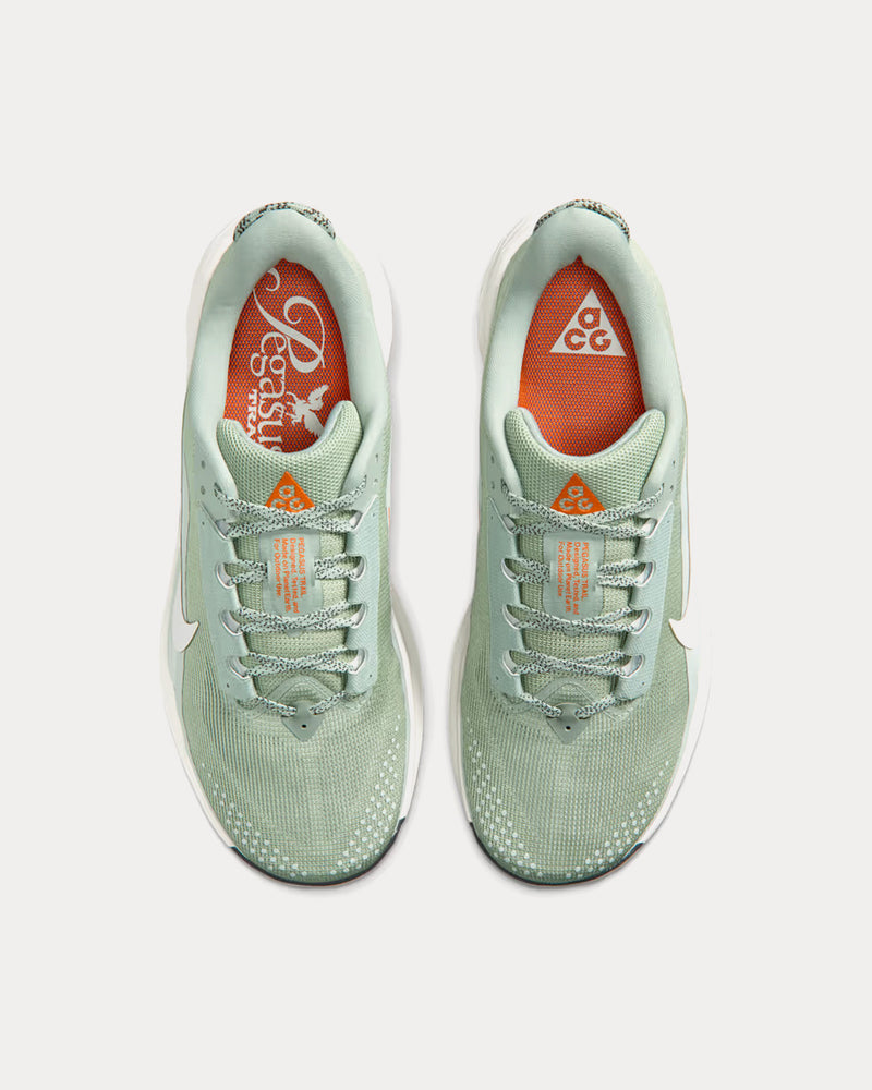 Nike Men's ACG Pegasus Trail Jade Horizon / Light Silver / Safety ...