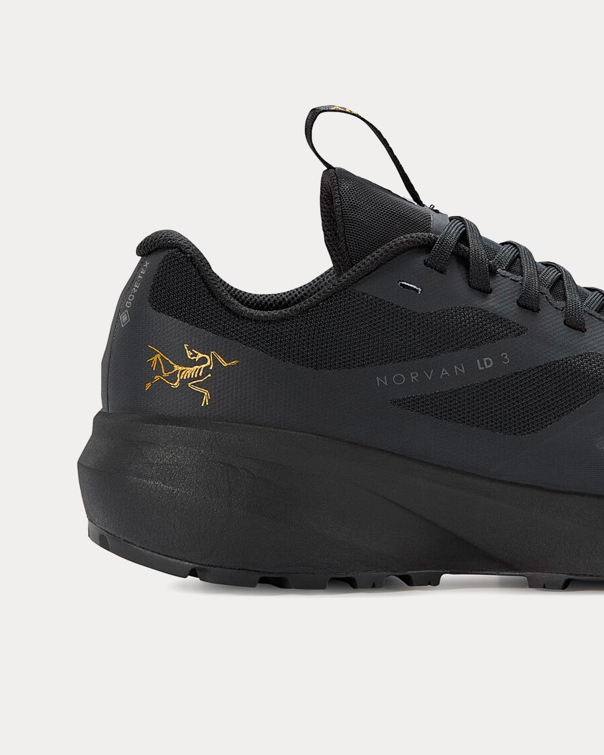 Arc'teryx Men's Norvan LD 3 GTX Black / Black Running Shoes
