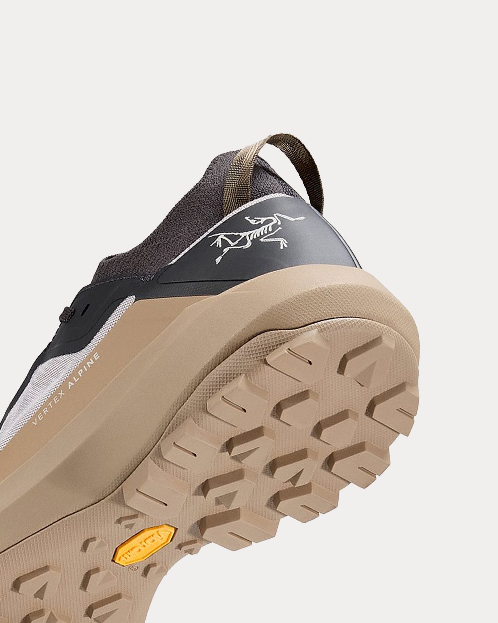 Arc'teryx Men's Vertex Alpine Canvas / Graphite Running Shoes