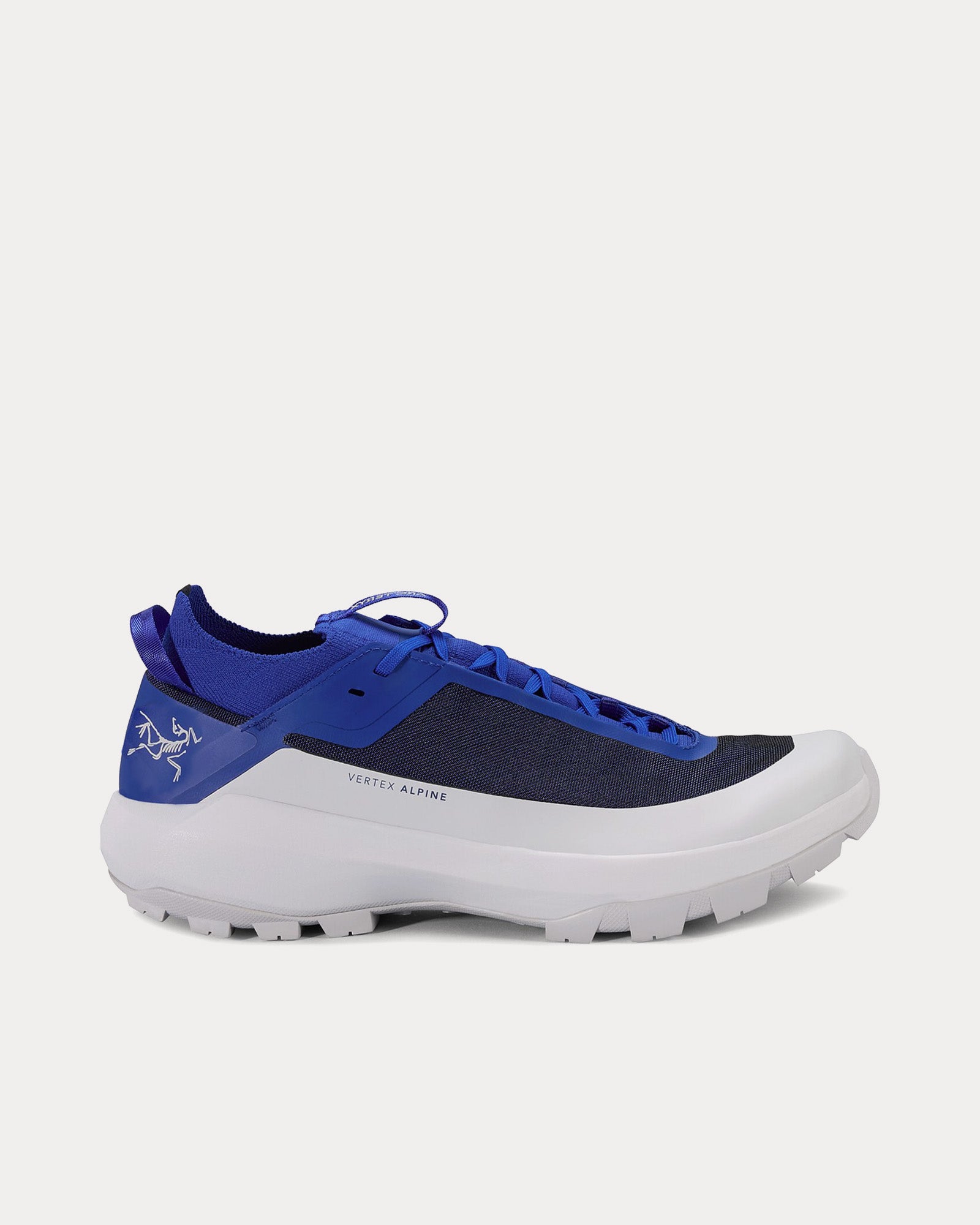 Arc'teryx Men's Vertex Alpine Vitality / Solitude Running Shoes
