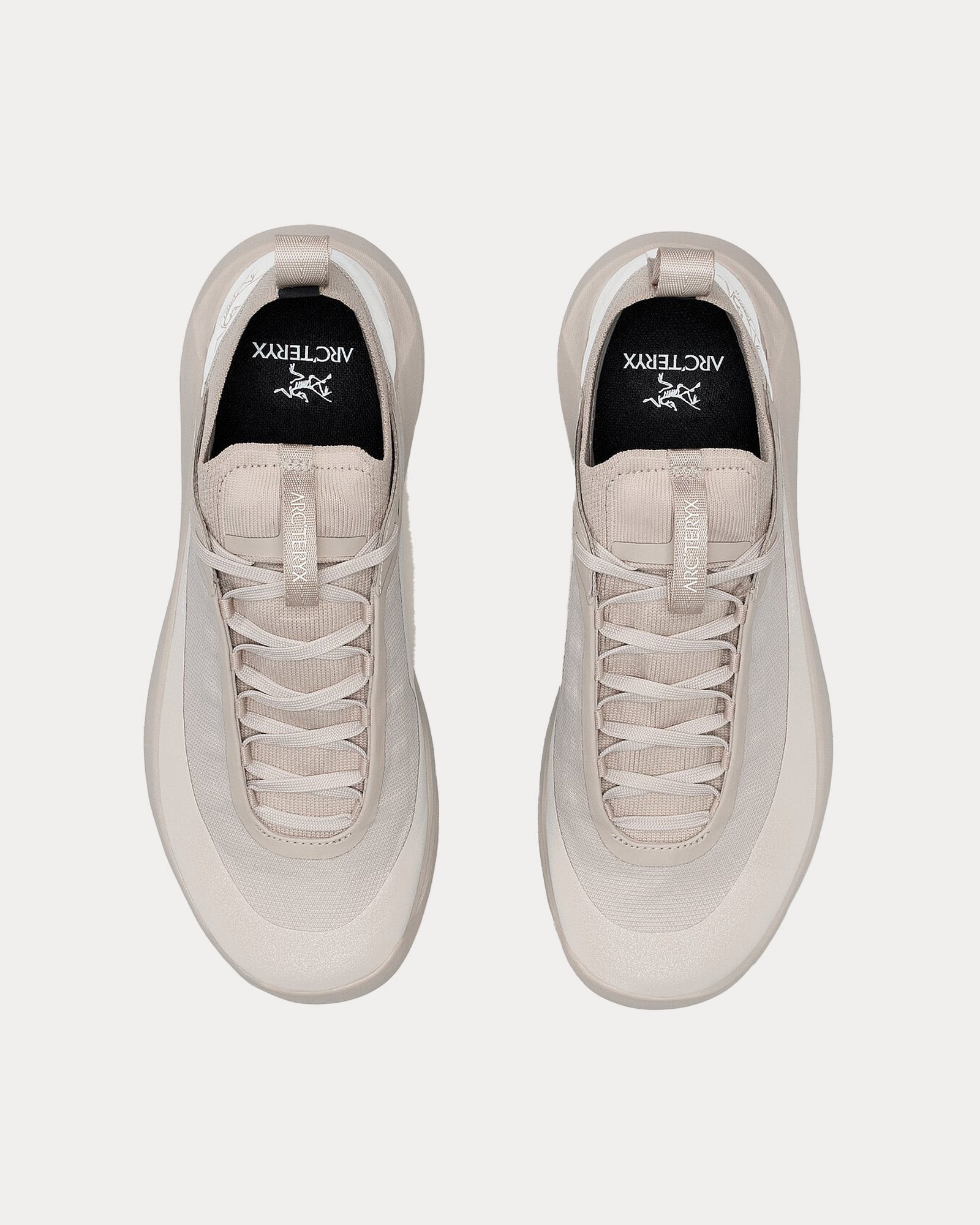 Arc'teryx Women's Vertex Alpine GTX Rune / Arctic Silk Running Shoes