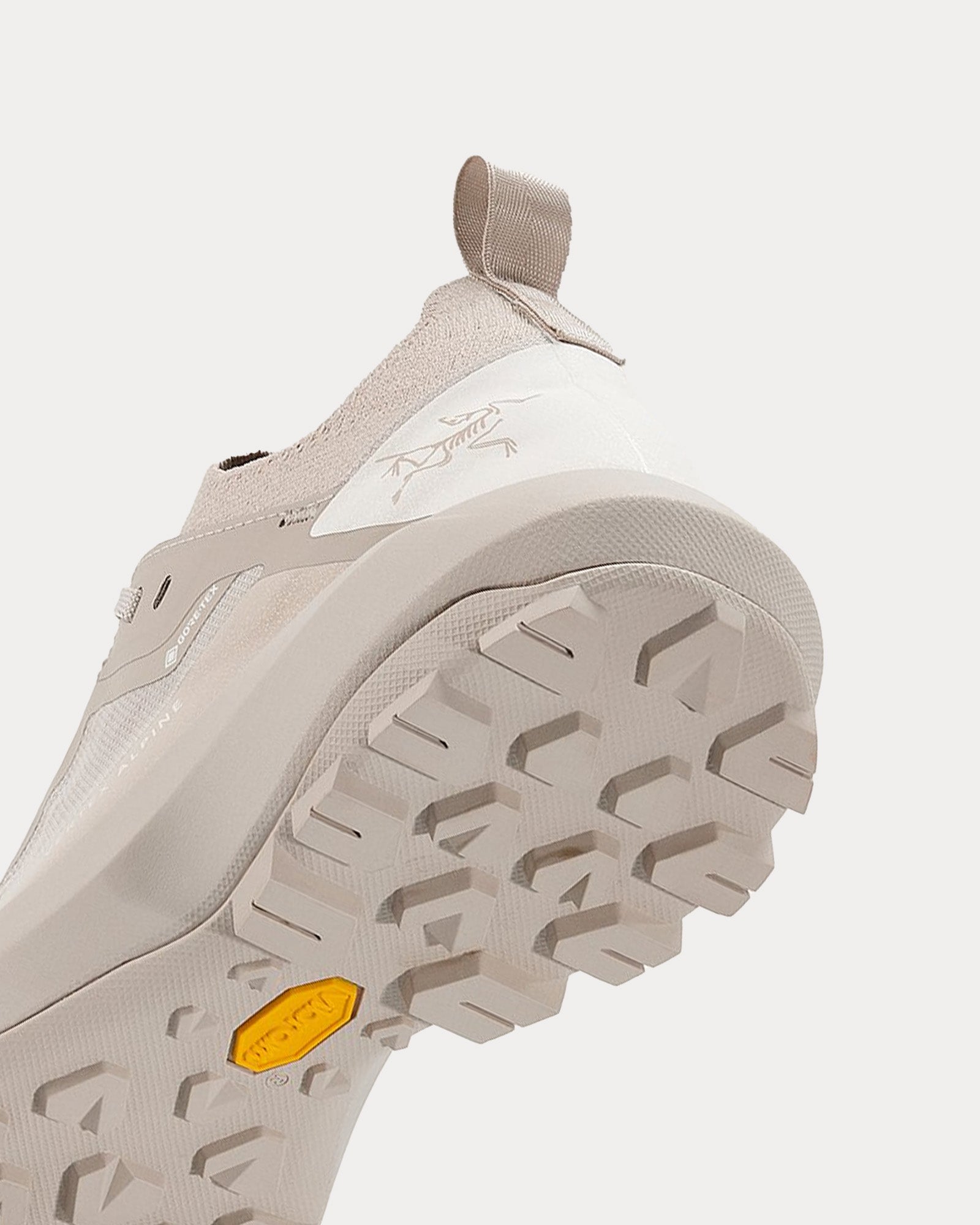 Arc'teryx Women's Vertex Alpine GTX Rune / Arctic Silk Running Shoes