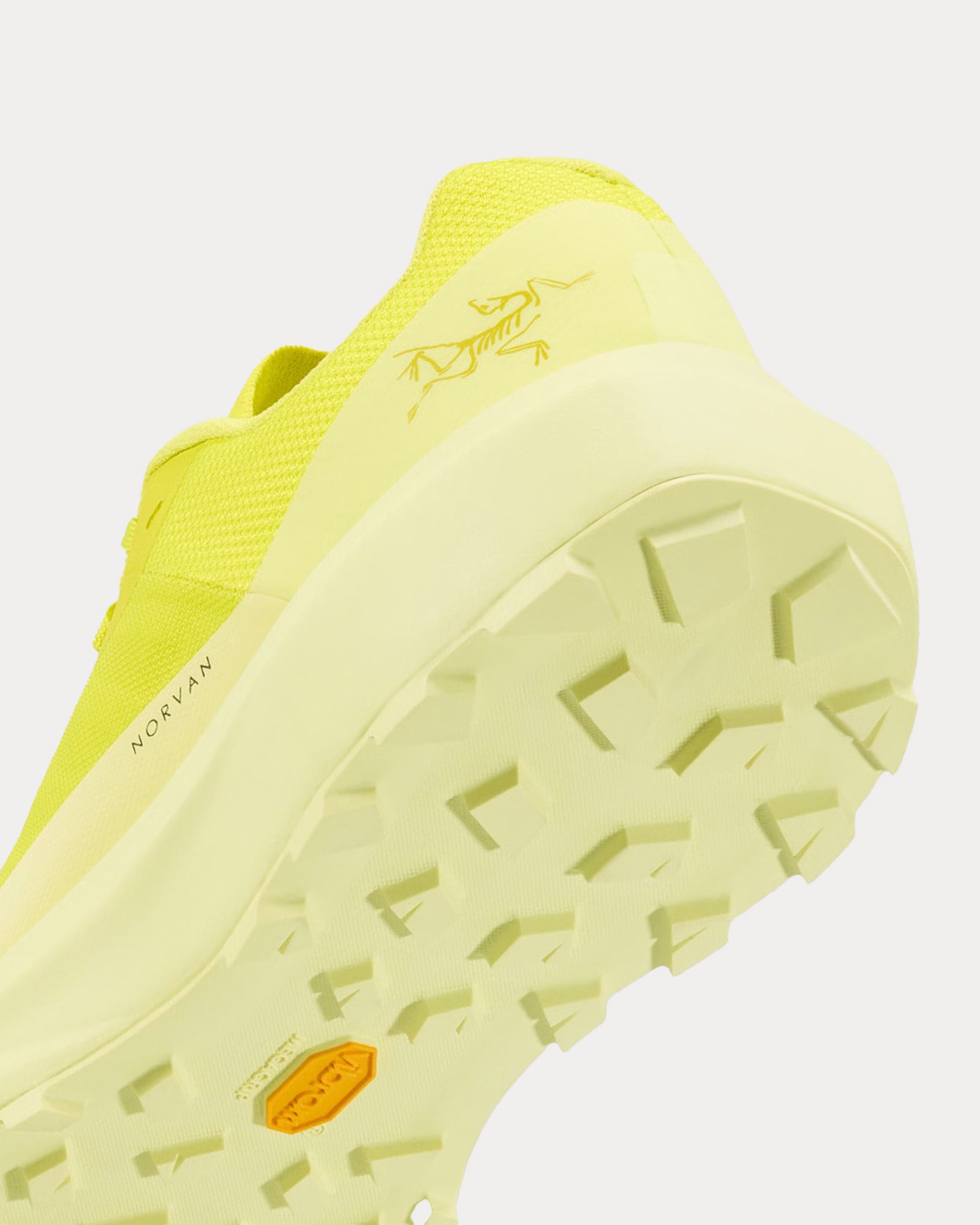 Arc'teryx Men's Norvan LD 4 Euphoria / Ray Running Shoes