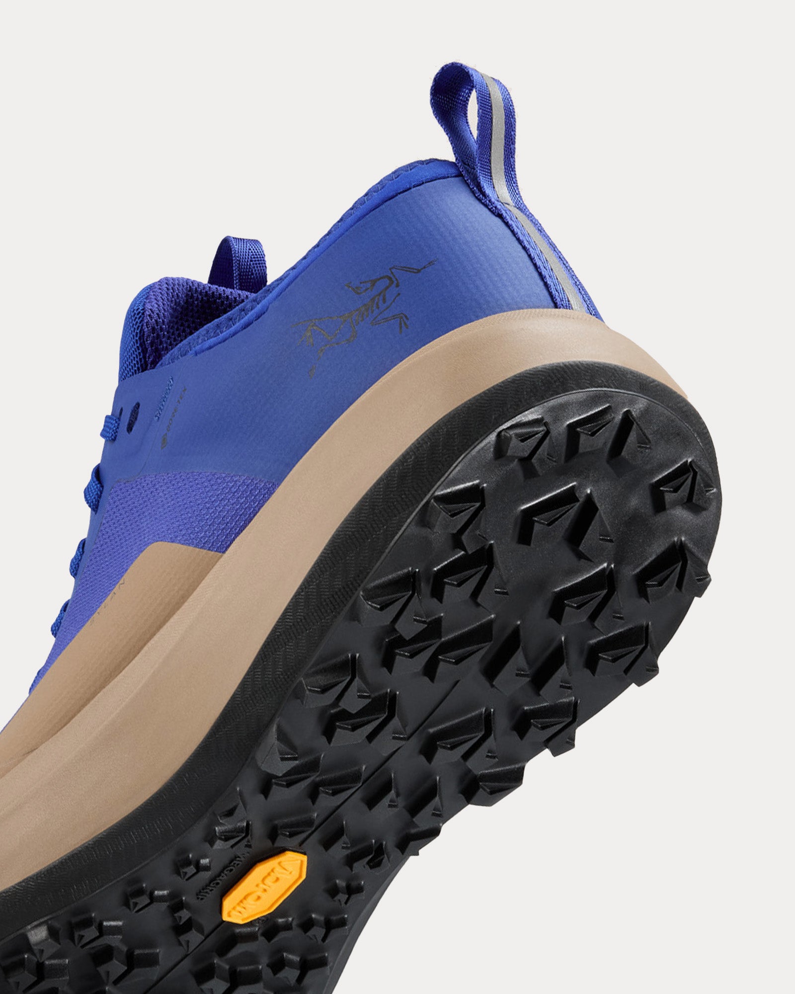 Arc'teryx Men's Sylan GTX Vitality / Canvas Running Shoes