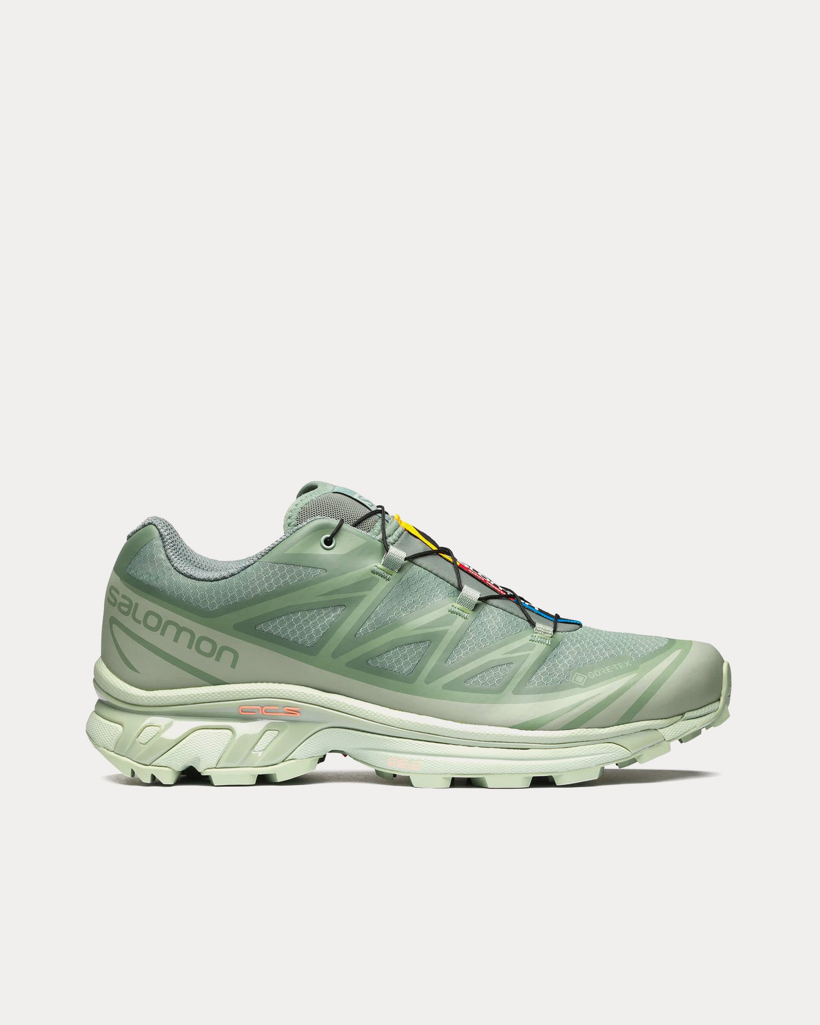Salomon Unisex XT-6 Gore-Tex Desert Sage / Lily Pad / Laurel Wreath Low ...