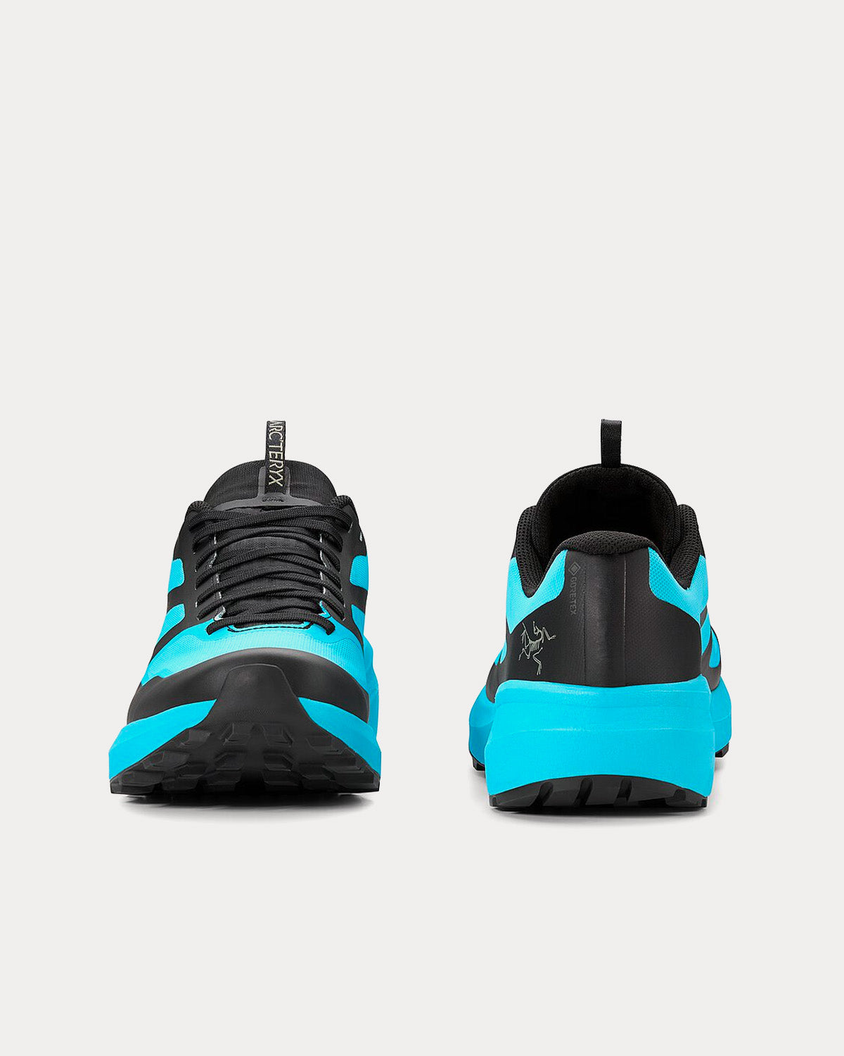 Arc'teryx Unisex Norvan LD 3 GTX Cosmic Cyan / Light Forage Running Shoes